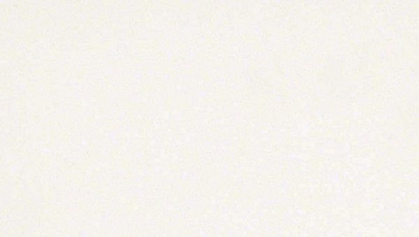 Arctic White – Stone Surface Design